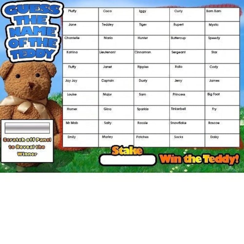 A4 TEDDY Guess the Name of Scratchcard Fundraising Game Fete Fair Fayre ...