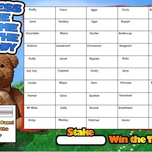 A4 TEDDY Guess the Name of Scratchcard Fundraising Game Fete Fair Fayre ...