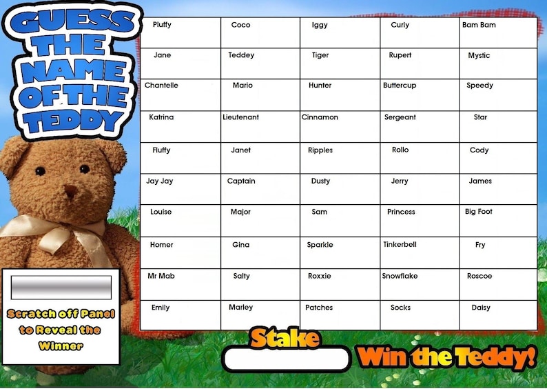 A4 TEDDY Guess the Name of Scratchcard Fundraising Game Fete Fair Fayre ...