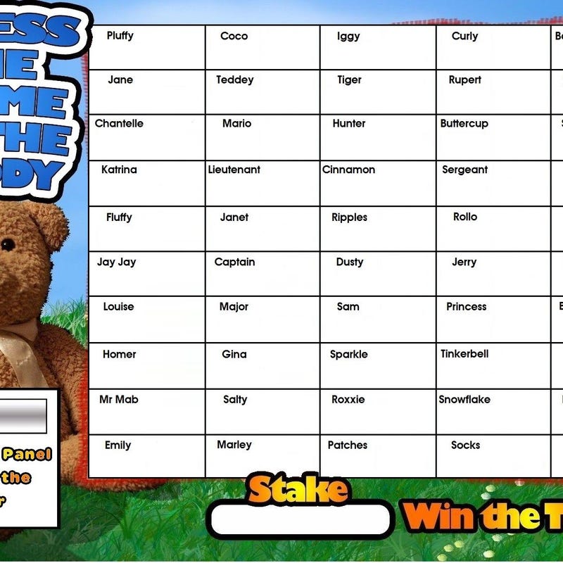 Guess the Bears Name - Etsy UK