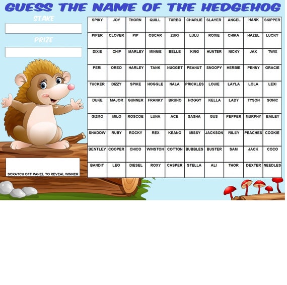 HEDGEHOG Guess the Name of Scratchcard Fundraising Game Fete - Etsy UK