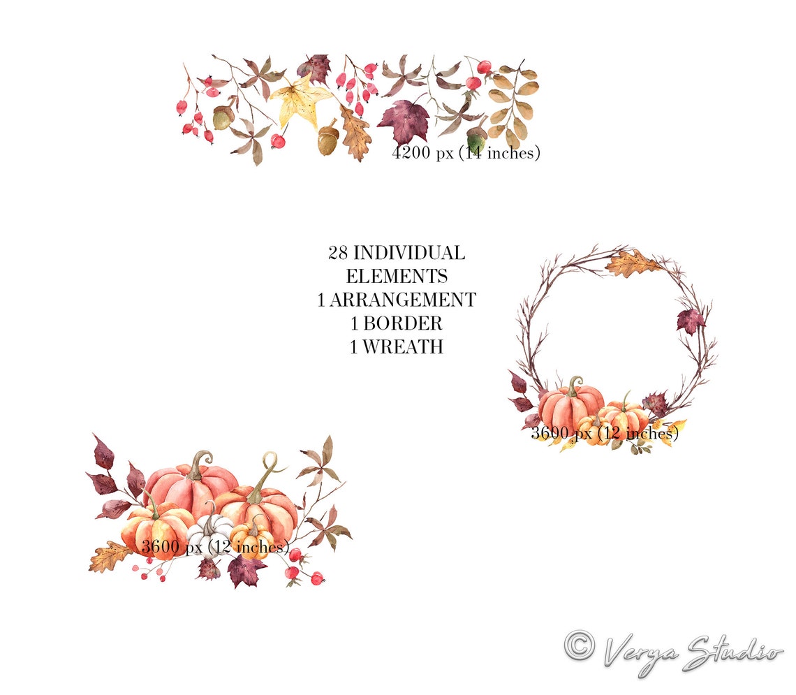 Rustic Autumn Clipart Watercolor Fall Clip Art Pumpkins Leaves - Etsy