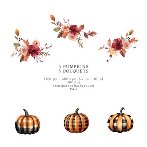 Fall Floral Pumpkins Clipart Watercolor Autumn Flowers Buffalo Plaid ...