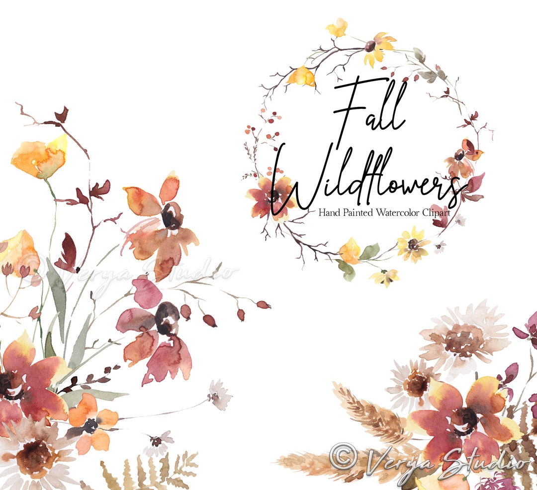 Fall Wildflowers Watercolor Fall Clipart Autumn Clip Art Wild Flowers ...