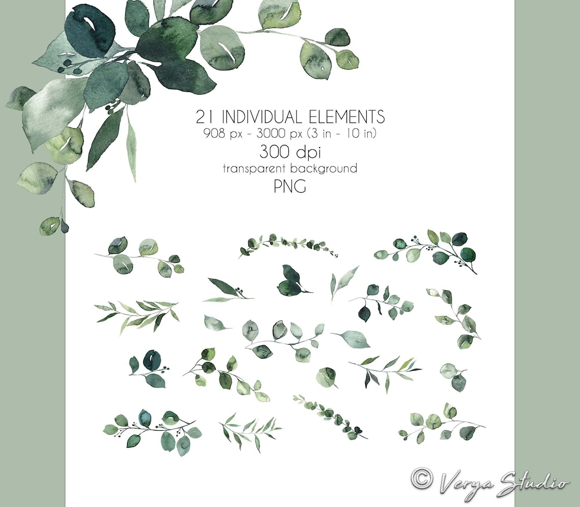Eucalyptus Clipart Watercolor Greenery Clip Art Baby Blue Eucalyptus ...