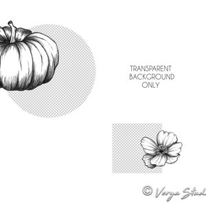 Fall Clipart Autumn Illustrations Clip Art Pumpkins Flowers Sunflower ...