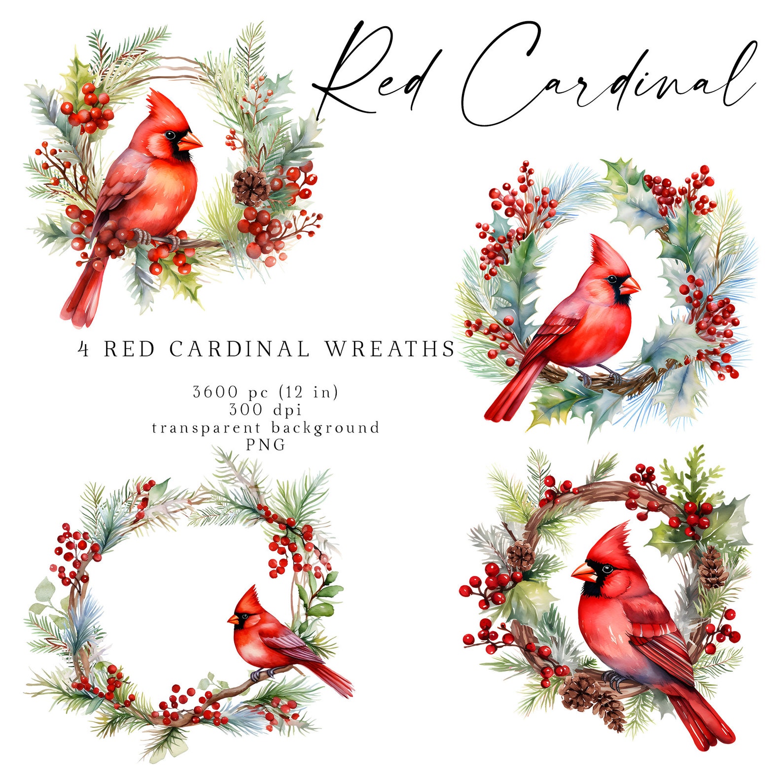 Christmas Clipart Red Cardinal Watercolor Clip Art Berries Pine Cones ...