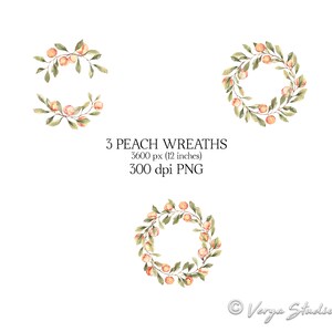 Peach Clipart Watercolor Fruit Clipart Peach Fruit Wreath Clip Art ...