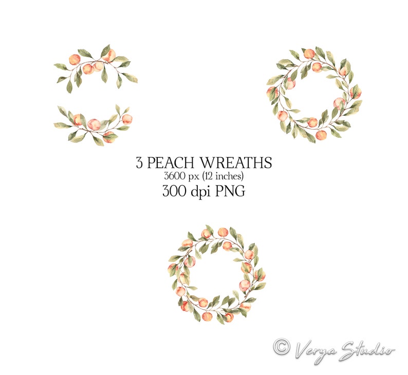 Peach Clipart Watercolor Fruit Clipart Peach Fruit Wreath Clip Art ...