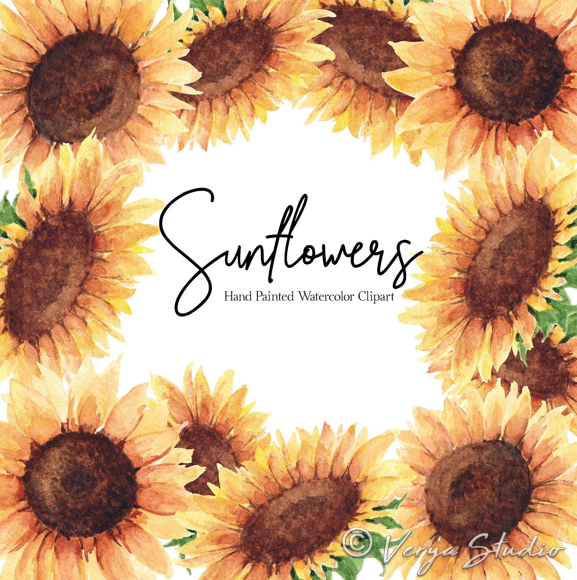 Sunflower Watercolor Clipart Hand Painted Flower Clip Art - Etsy