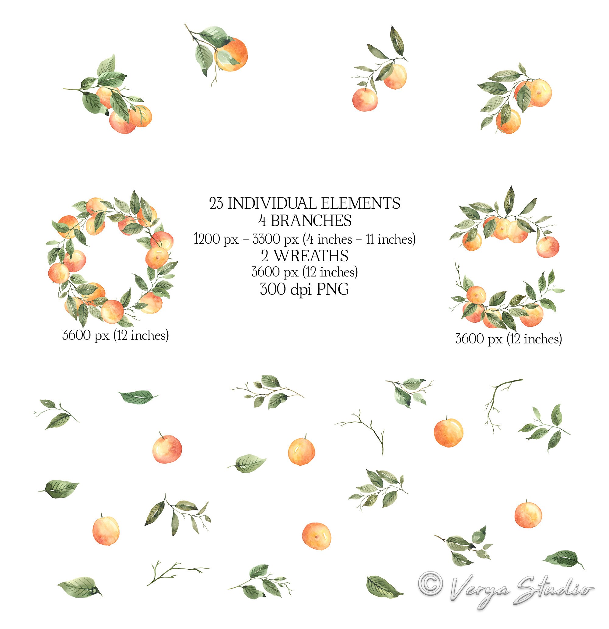 Orange Clipart Watercolor Oranges Clip Art Summer Clipart | Etsy