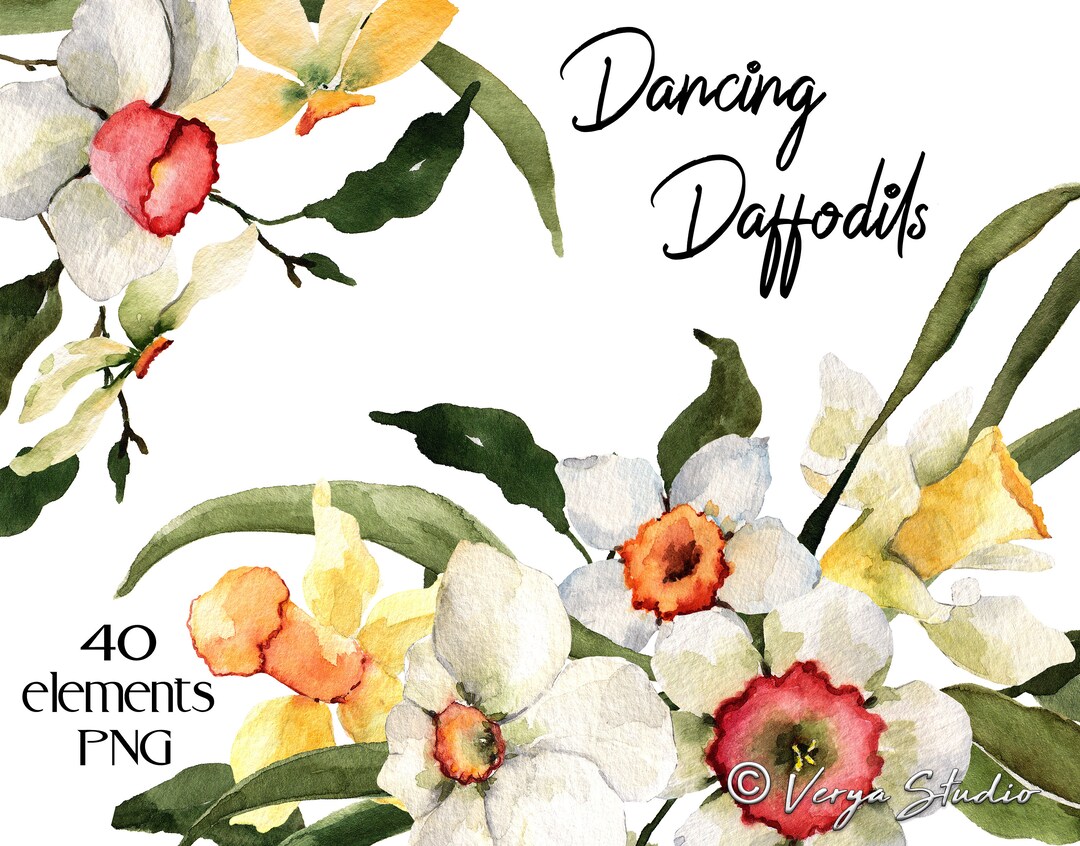 Daffodils Spring Floral Clipart, White Watercolor Flowers Clip Art ...