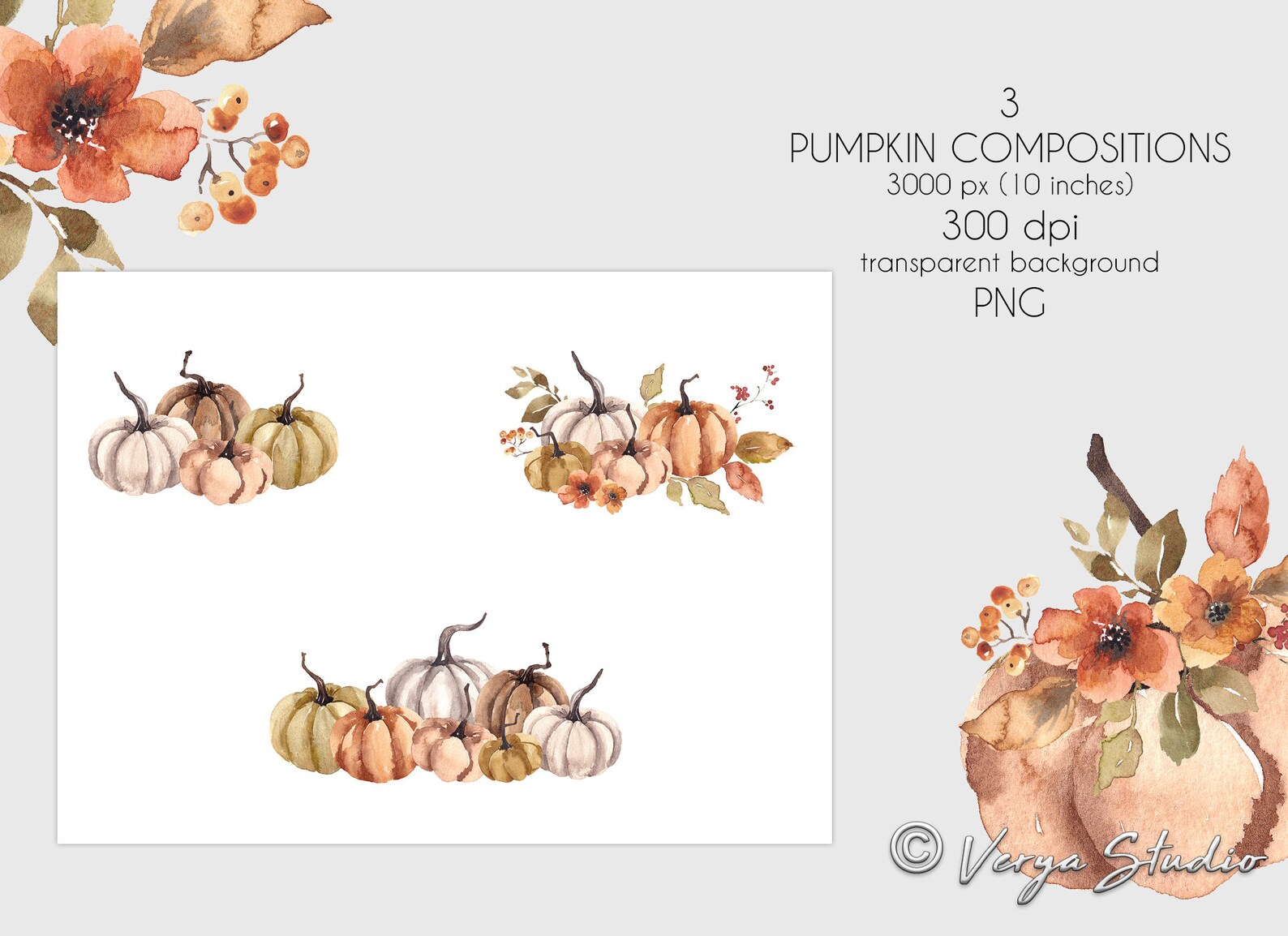 Watercolor Fall Clipart Autumn Clip Art Neutral Pumpkins | Etsy