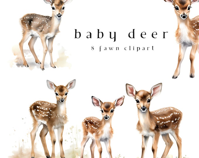 Cute Deer Clipart, 18 HQ (300 DPI) PNG Images, Woodland Deer Clipart ...