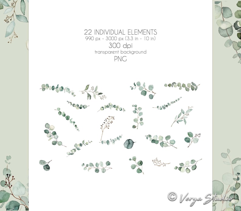 Greenery Clipart Eucalyptus Clip Art Watercolor Foliage - Etsy