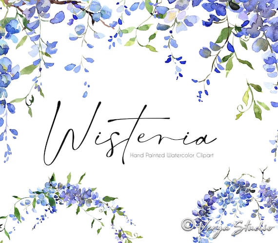 Wisteria Watercolor Floral Clipart Spring Flowers Clip Art | Etsy