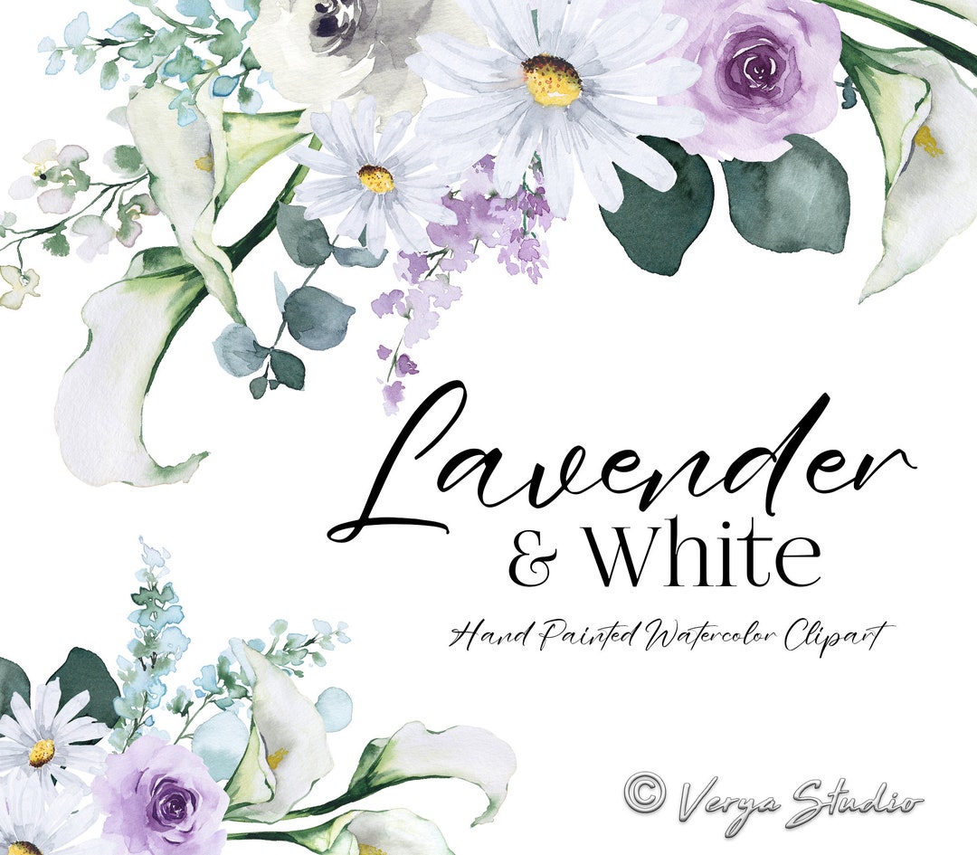 Lavender White Watercolor Floral Clipart Purple Flowers Clip Art ...