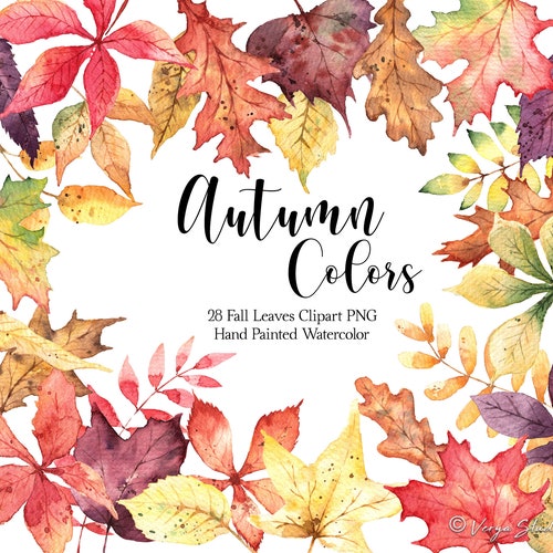 Pastel Fall Clipart Watercolor Autumn Clip Art Light Pink Blue - Etsy