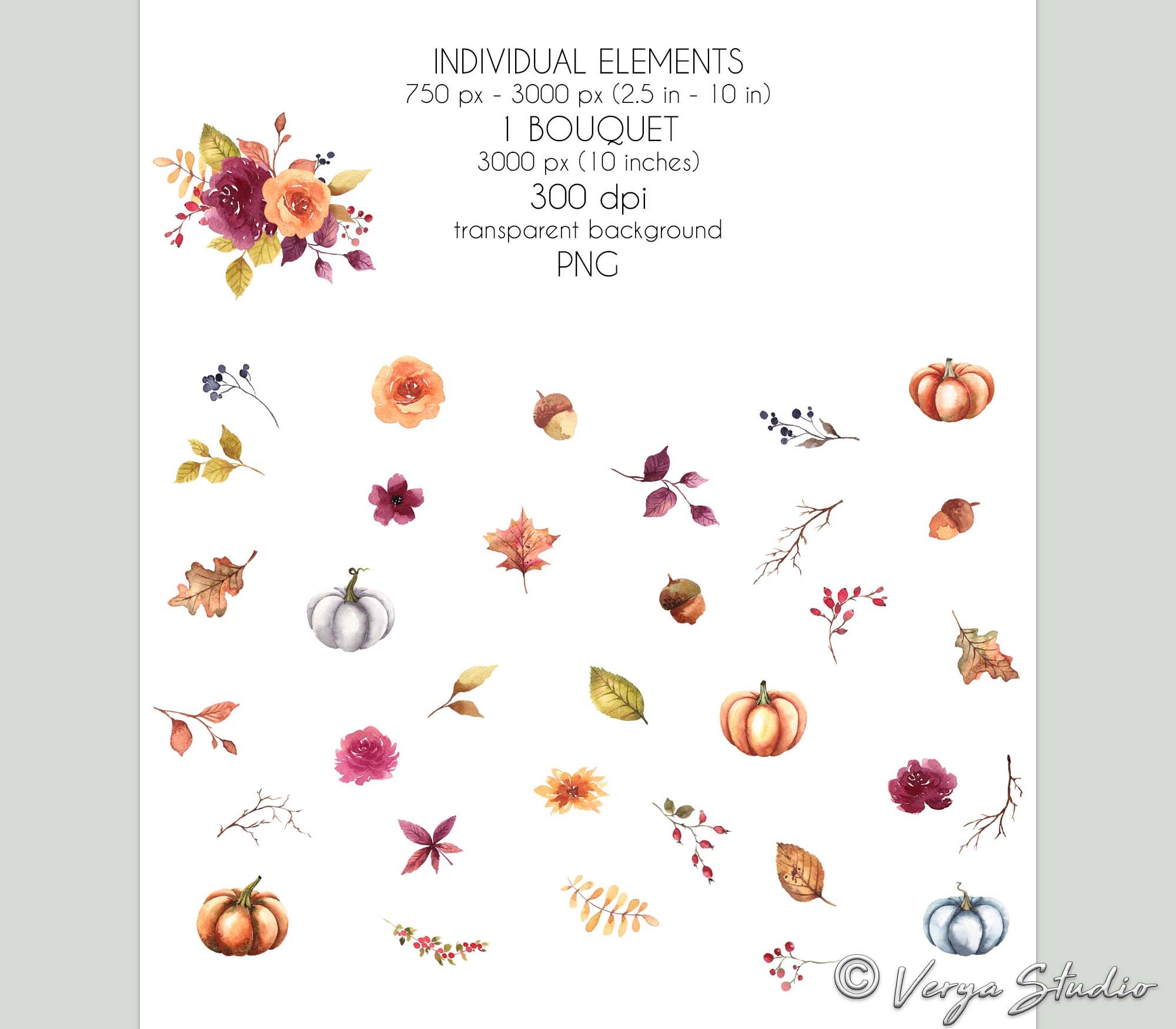 Fall Clipart Watercolor Pumpkins Clip Art Autumn Leaves - Etsy