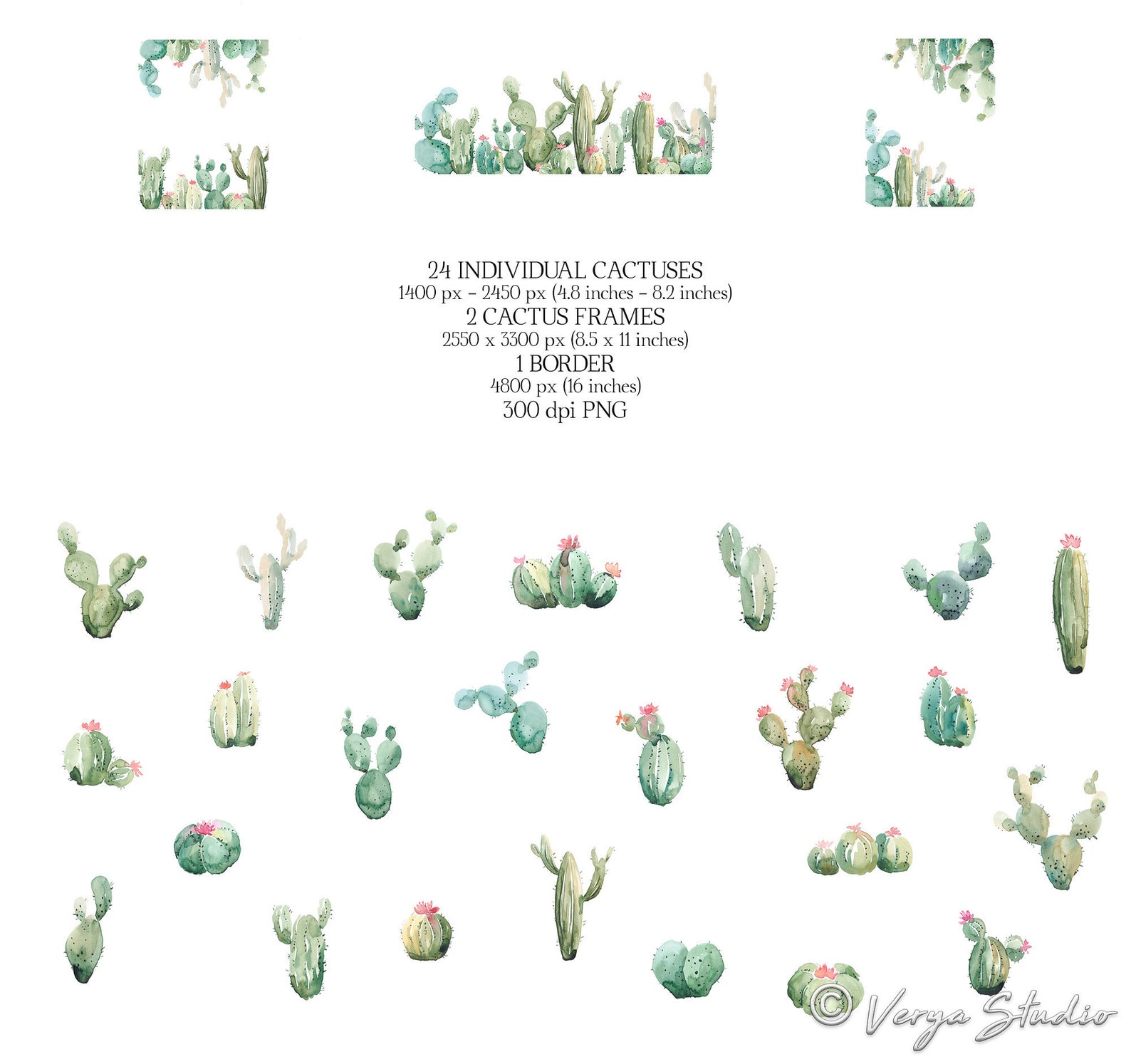 Cactus Clipart Watercolor Cacti Clip Art Summer Clipart Hand Painted ...