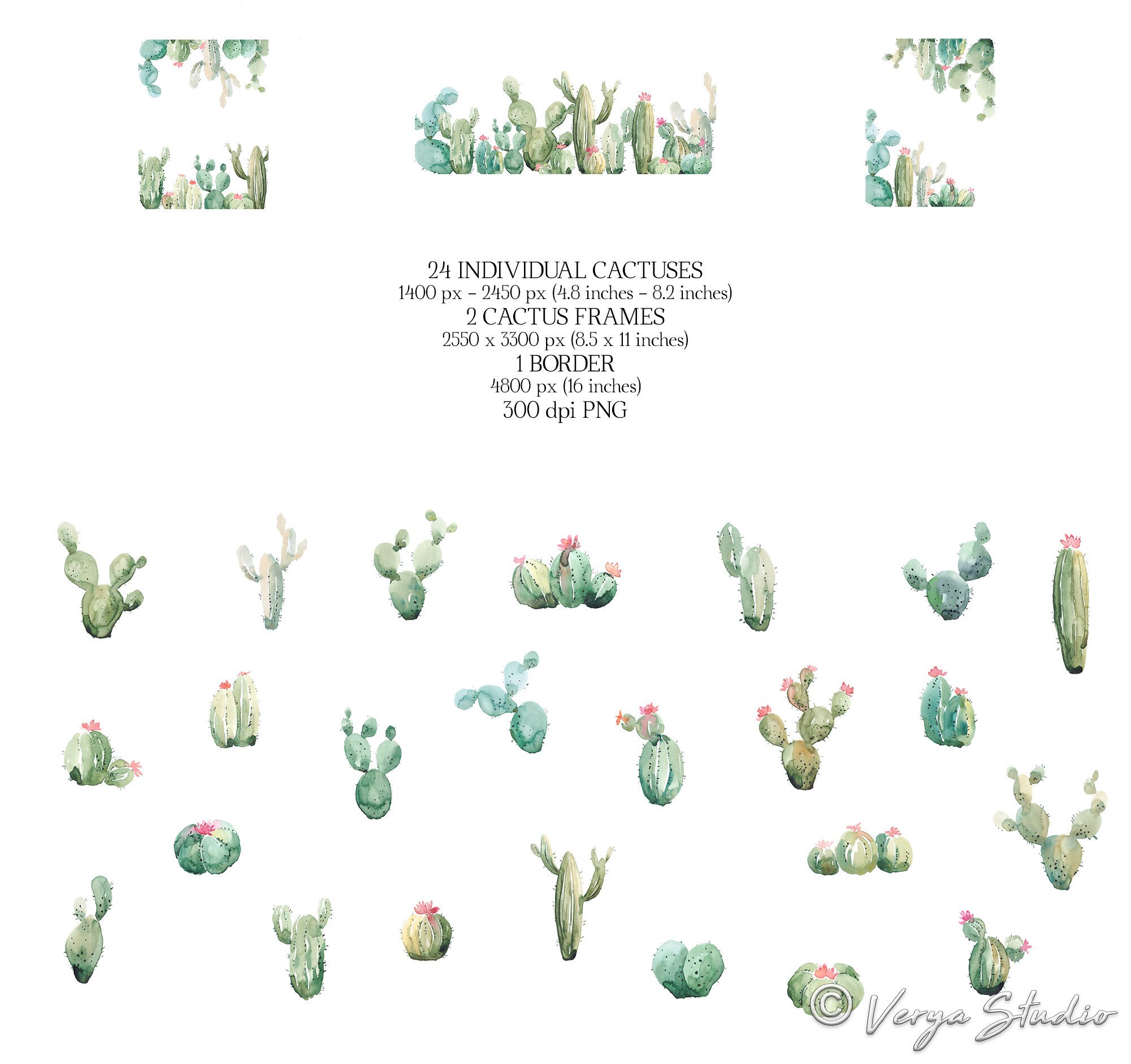 Cactus Clipart Watercolor Cacti Clip Art Summer Clipart Hand - Etsy