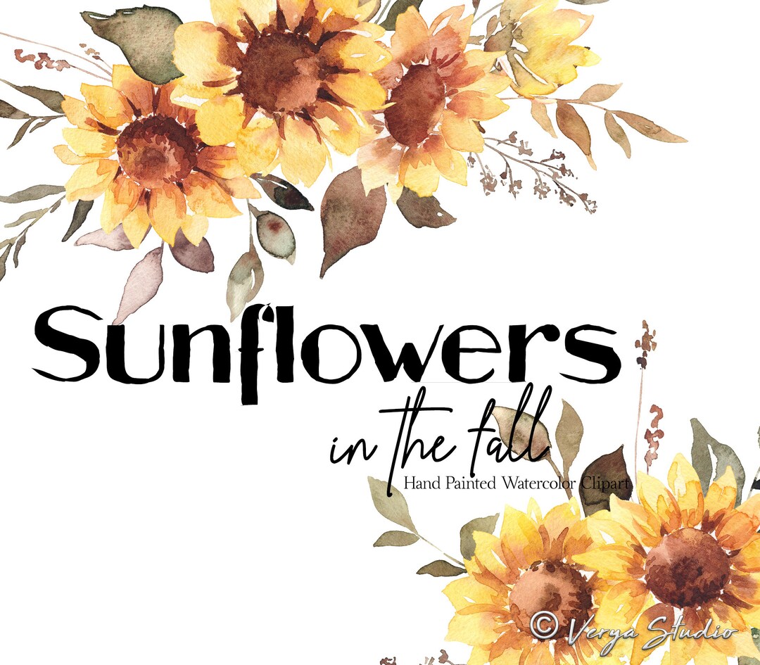 Watercolor Sunflowers Clipart Sunflower Clip Art Fall Clipart Floral ...