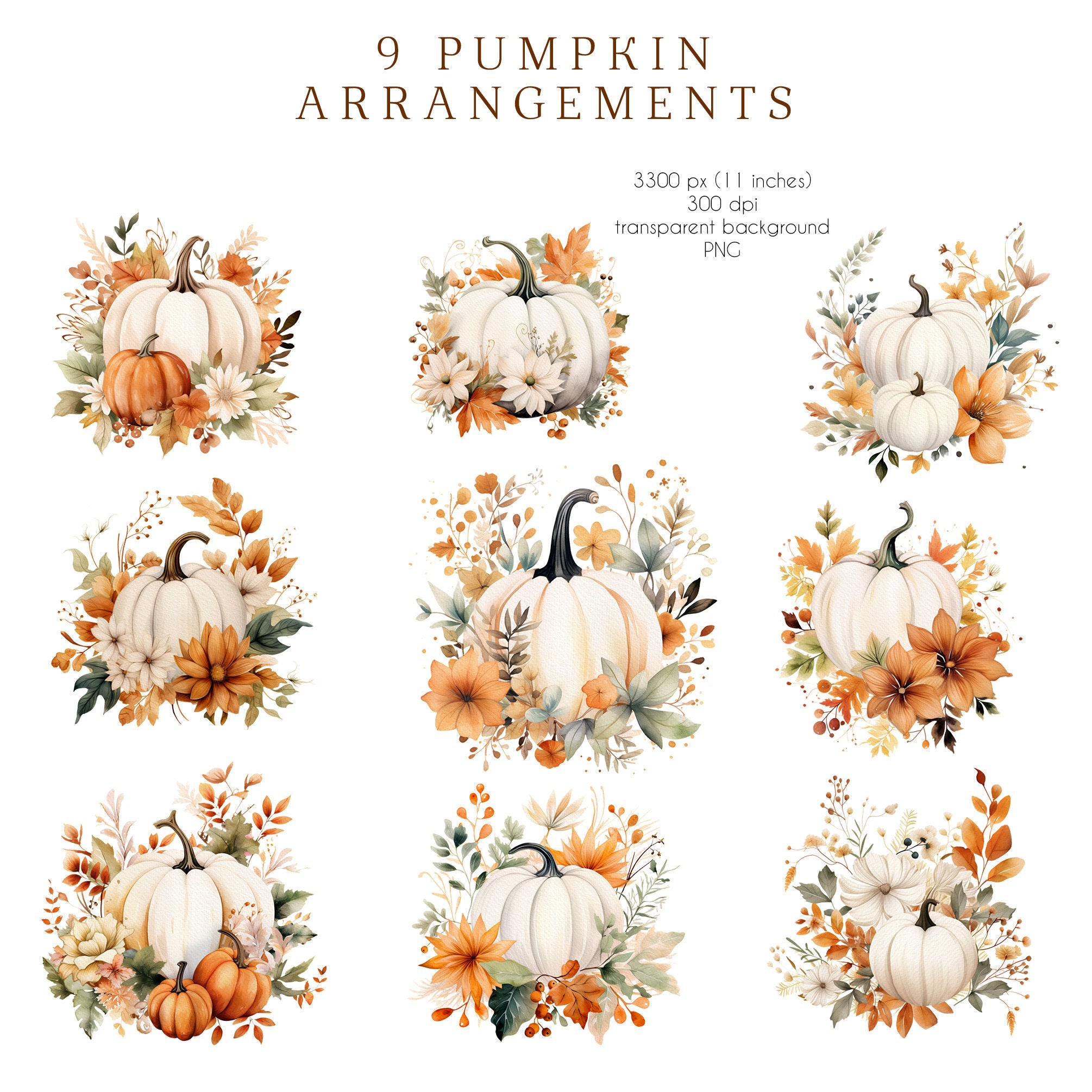 White Orange Fall Clipart Watercolor Pumpkins Clip Art Floral Autumn ...