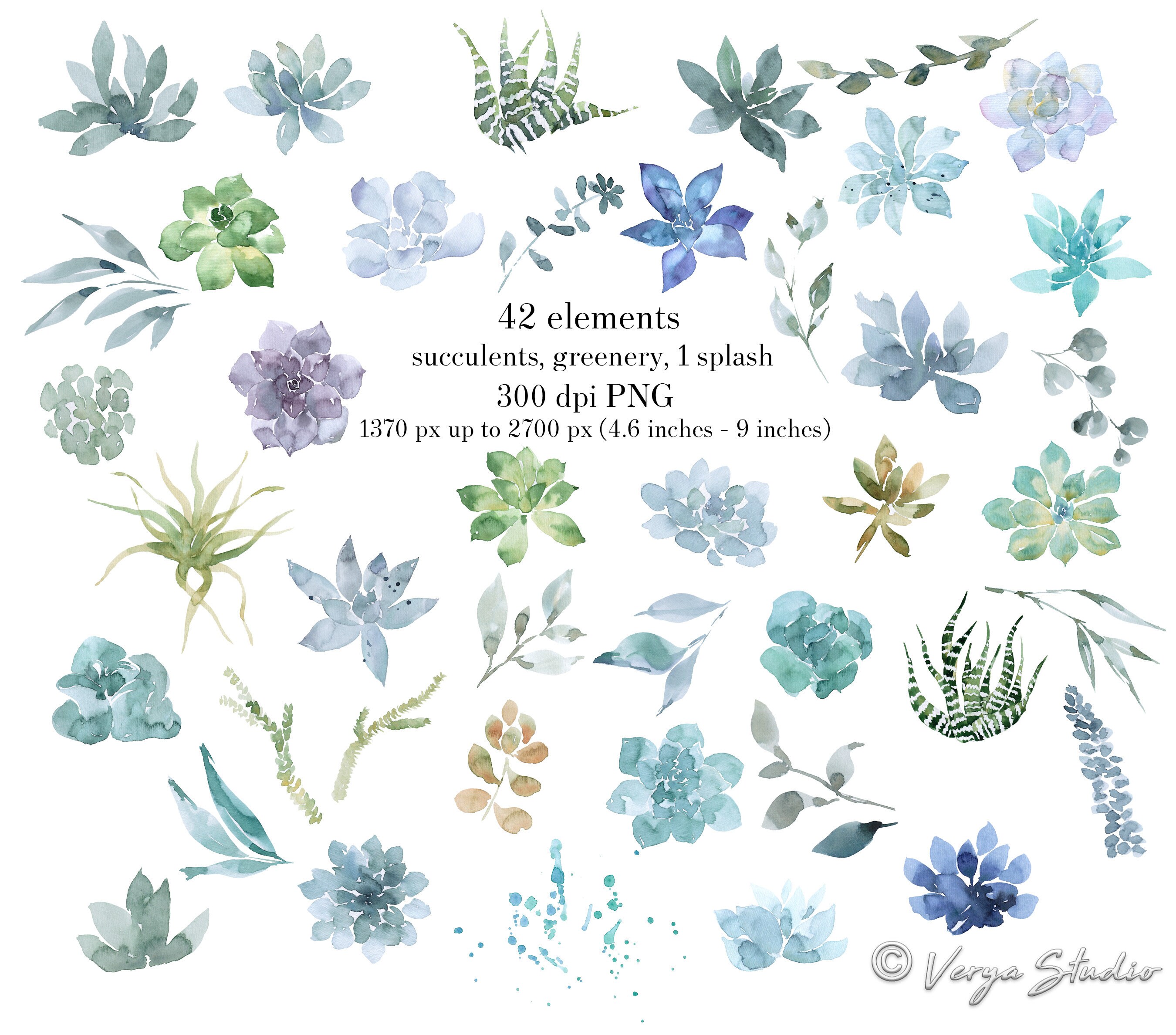 Watercolor Succulents Clipart Floral Clip Art Succulent | Etsy