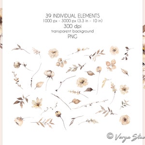Beige Tan Flowers Clipart Watercolor Floral Clipart Cream Ivory Taupe ...