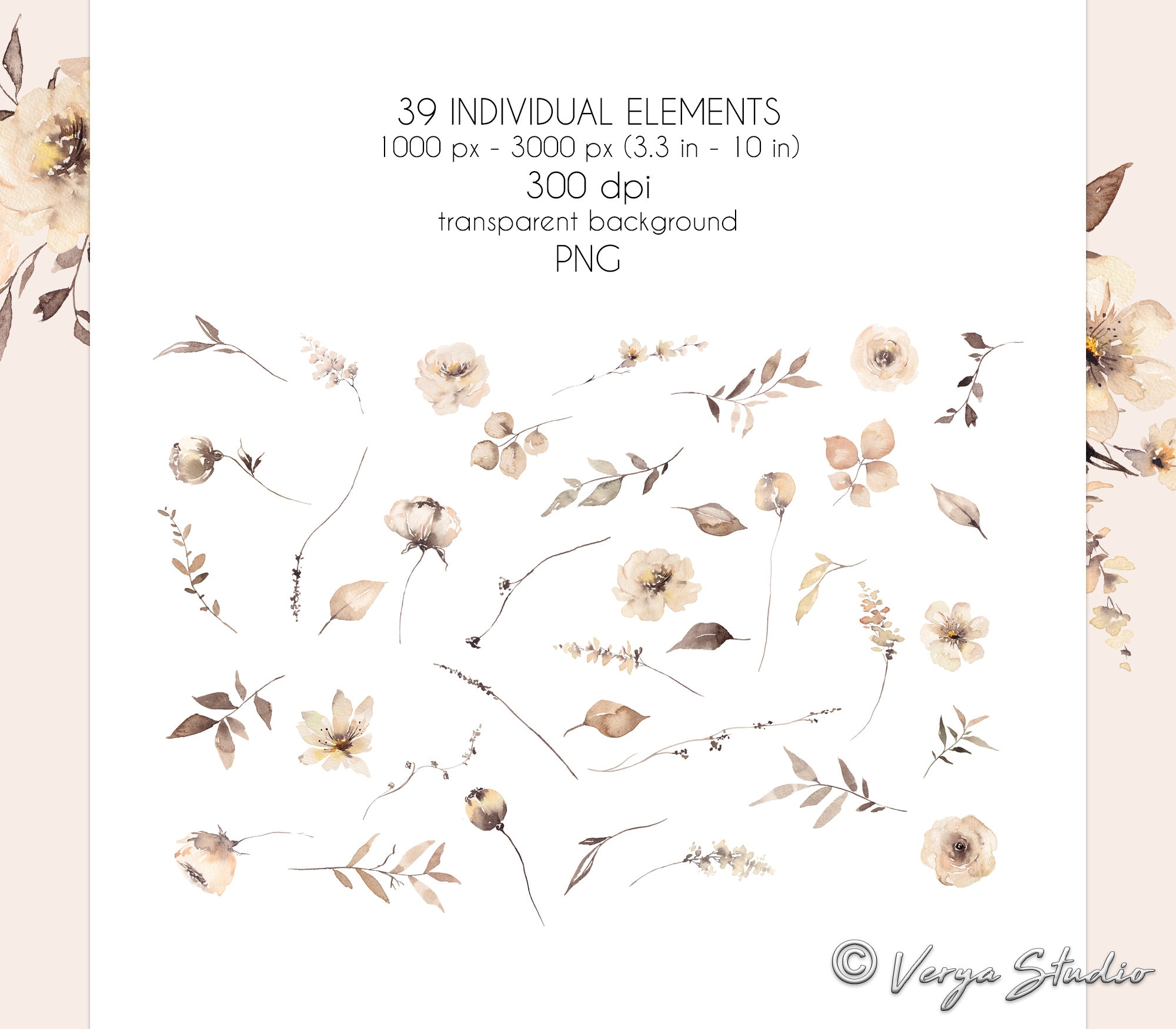 Beige Tan Flowers Clipart Watercolor Floral Clipart Cream - Etsy Ireland