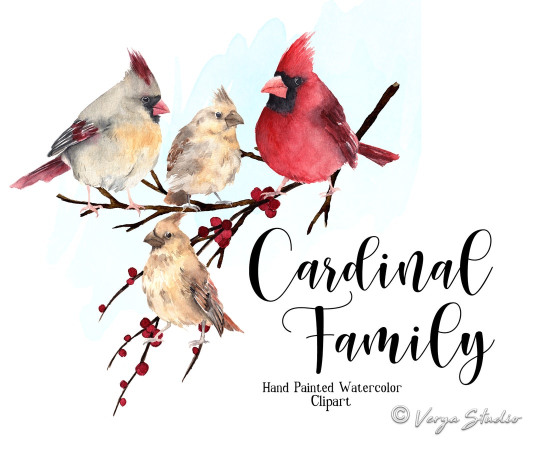 Watercolor Cardinal Birds Clipart Female Cardinal Red Cardinal Bird ...