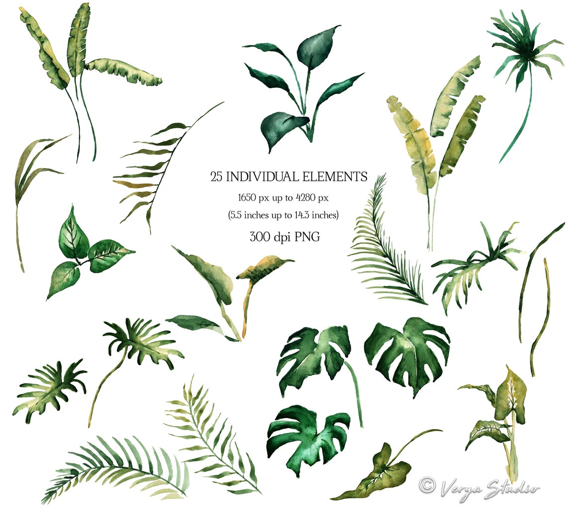 Watercolor Tropical Clipart Leaves Clip Art Tropic Greenery - Etsy