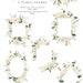 Cream Floral Clipart, White Flowers Frames Clip Art, Alabaster ...