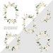 Cream Floral Clipart, White Flowers Frames Clip Art, Alabaster ...