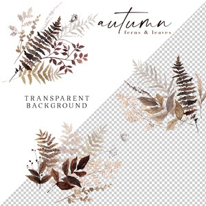 Boho Fern Fall Leaves Clipart Watercolor Dried Ferns Botanical Clip Art ...