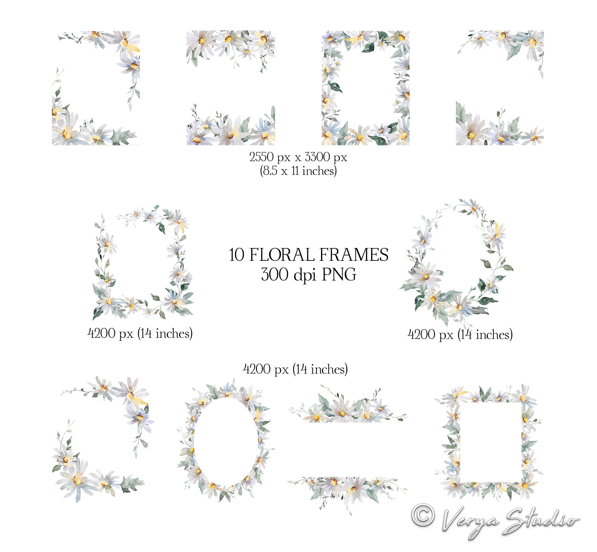 Daisies Watercolor Floral Frames Clipart White Daisy Flowers - Etsy