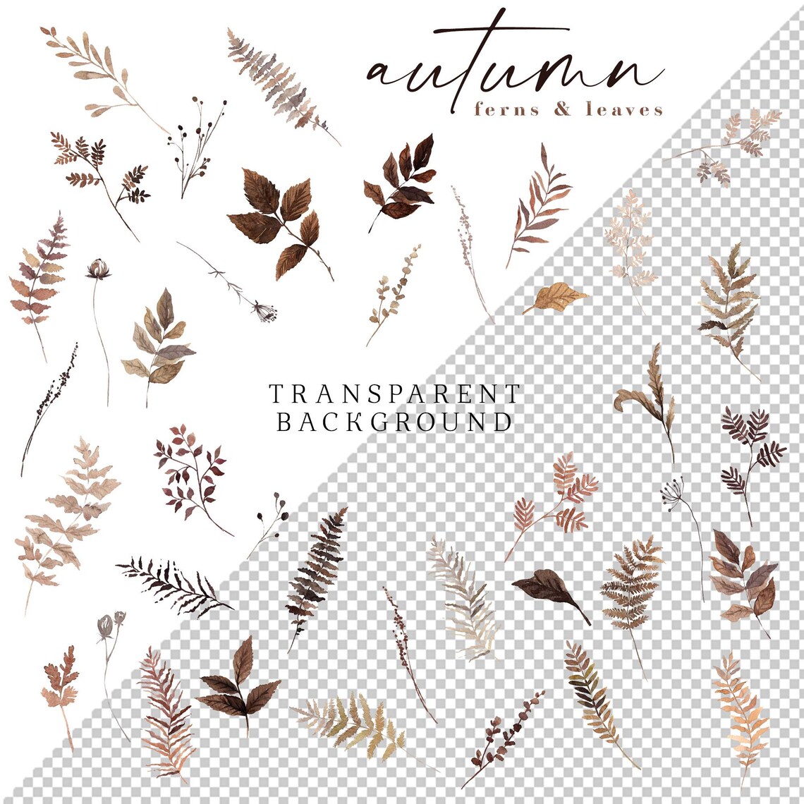 Boho Fern Fall Leaves Clipart Watercolor Dried Ferns Botanical Clip Art ...