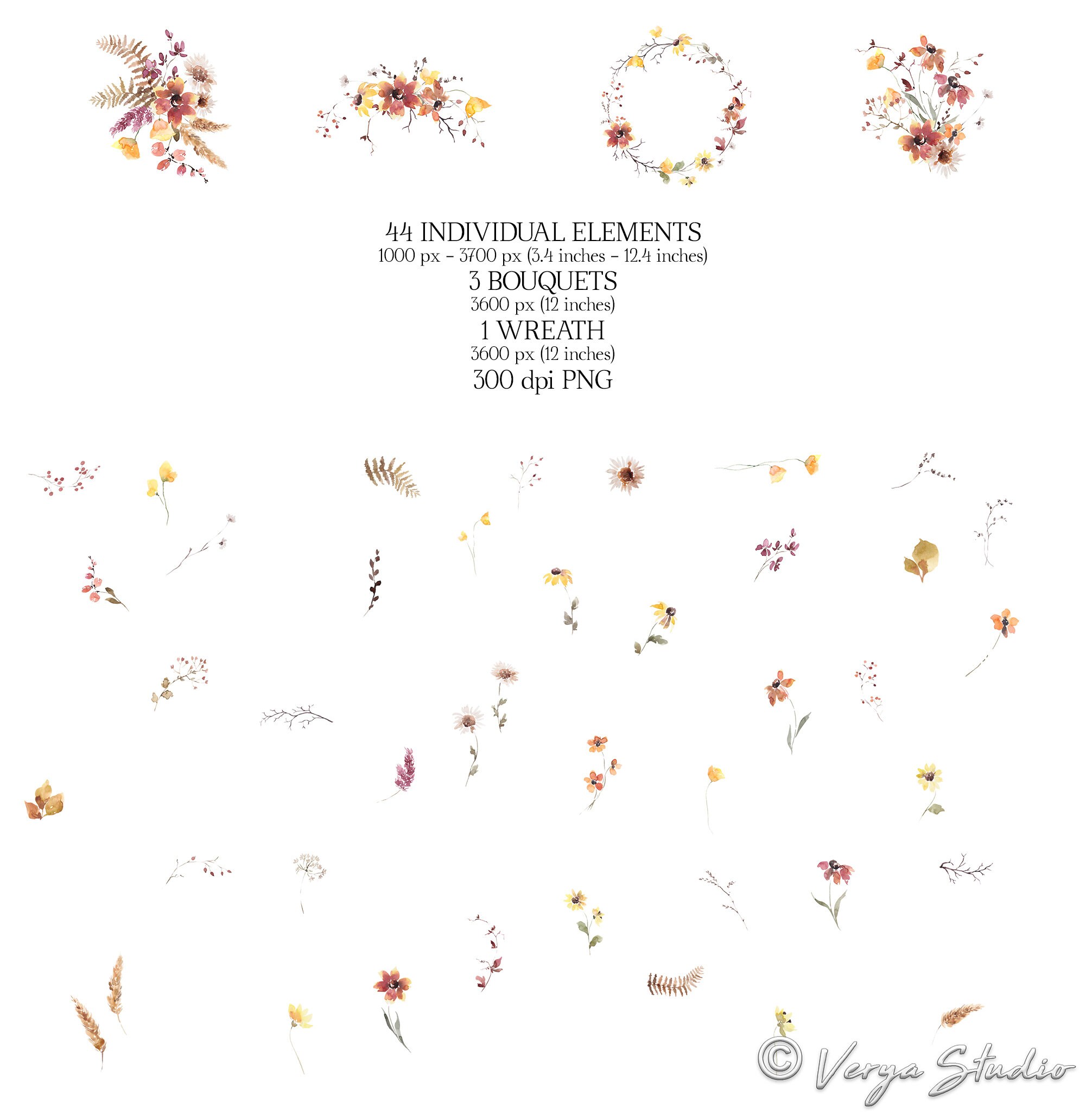 Fall Wildflowers Watercolor Fall Clipart Autumn Clip Art Wild - Etsy