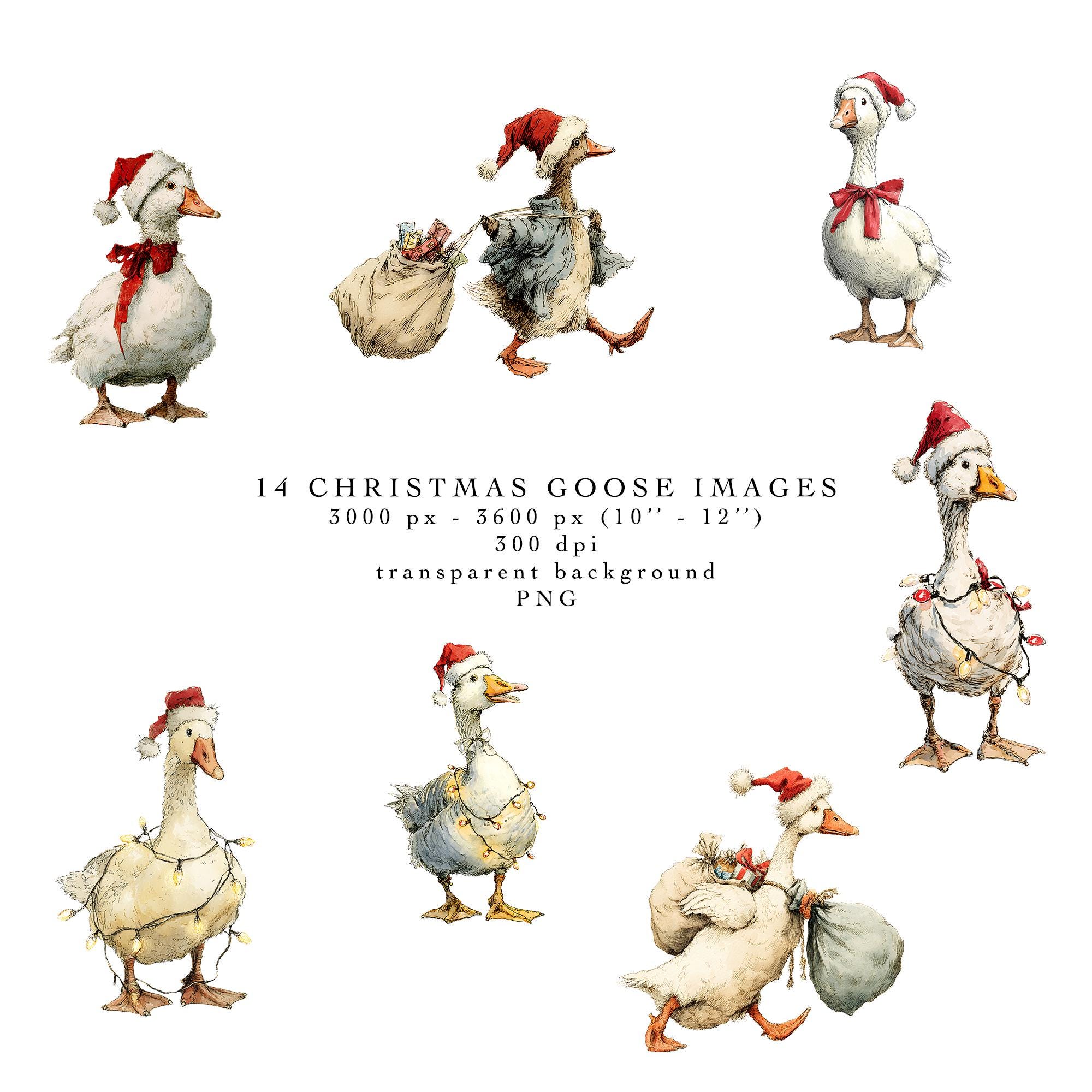 Goosemas Silly Goose Christmas Clipart, Watercolor Goose PNG, Funny ...