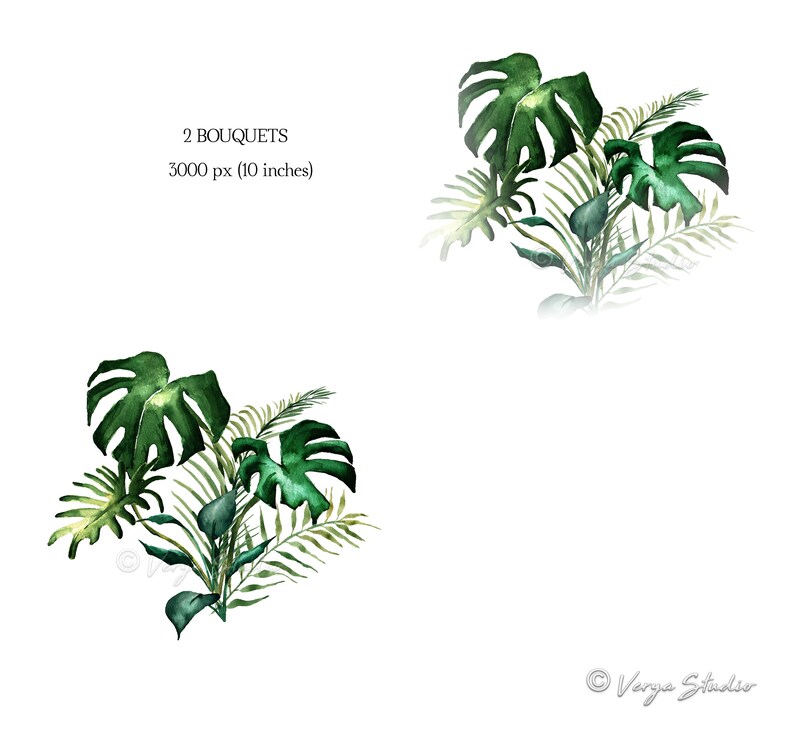Watercolor Tropical Clipart Leaves Clip Art Tropic Greenery - Etsy