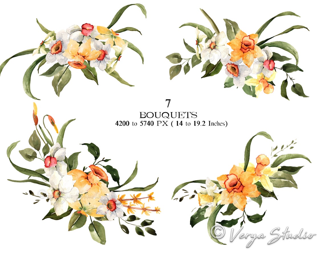 Daffodils Watercolor Floral Clipart 7 Spring Flowers Bouquets - Etsy