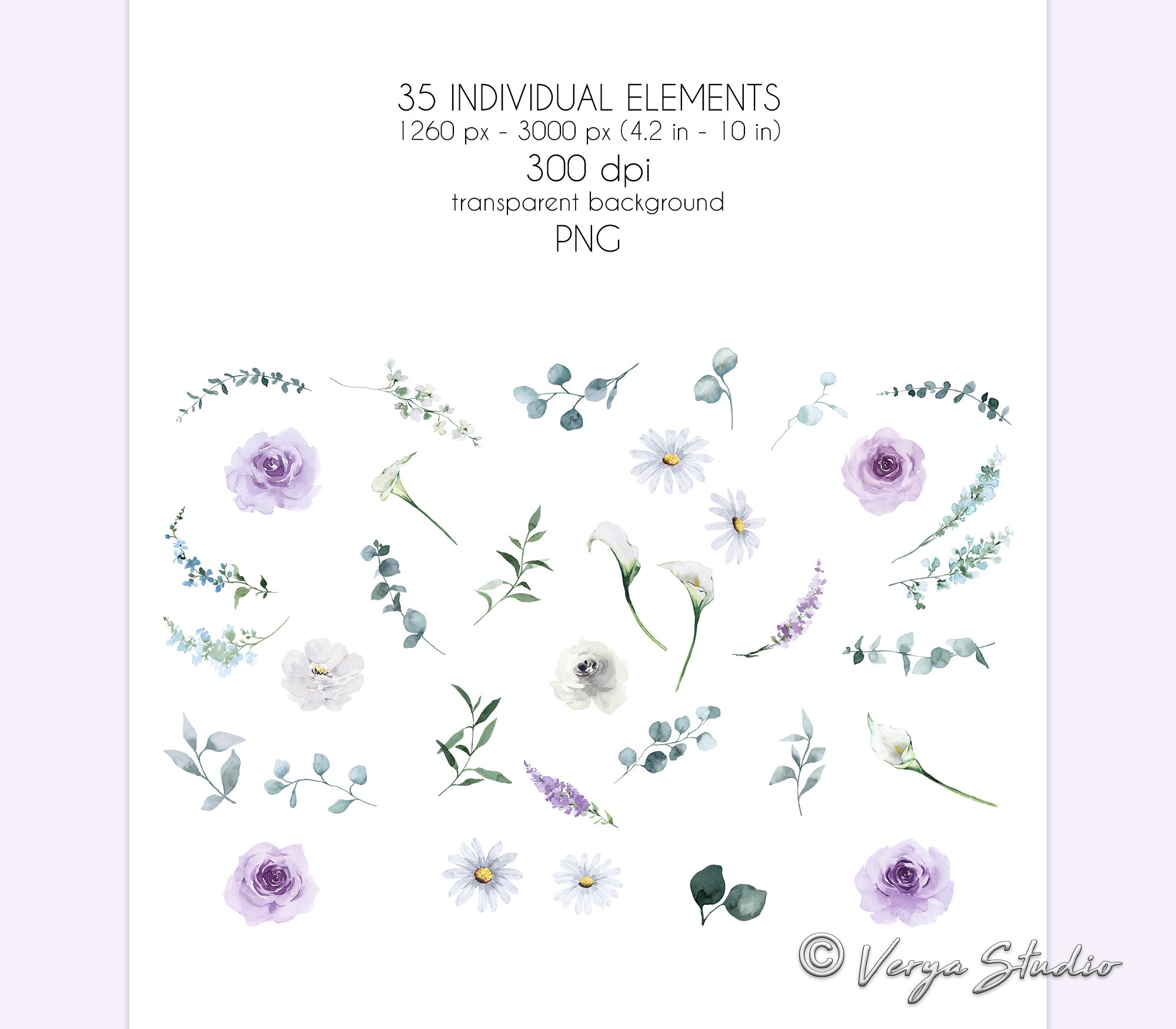 Lavender White Watercolor Floral Clipart Purple Flowers Clip - Etsy