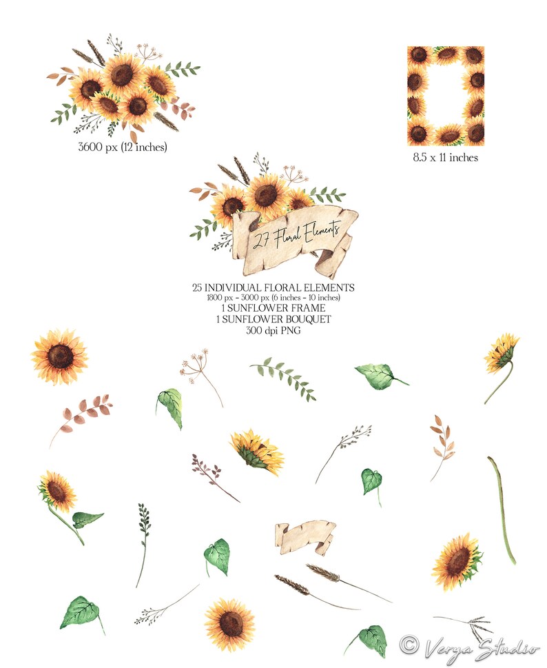 Sunflower Watercolor Clipart Hand Painted Flower Clip Art - Etsy
