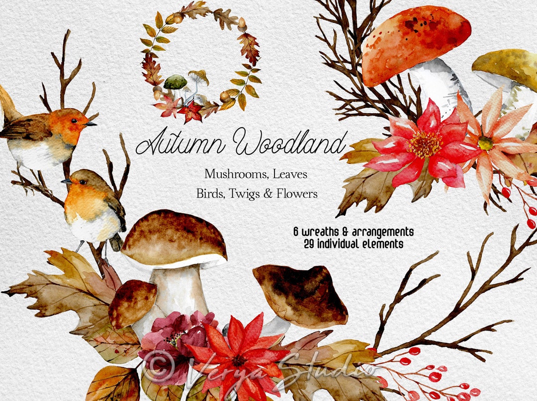 Watercolor Autumn Leaf Mushroom Clipart, Autumn Cliparts, Fall ...