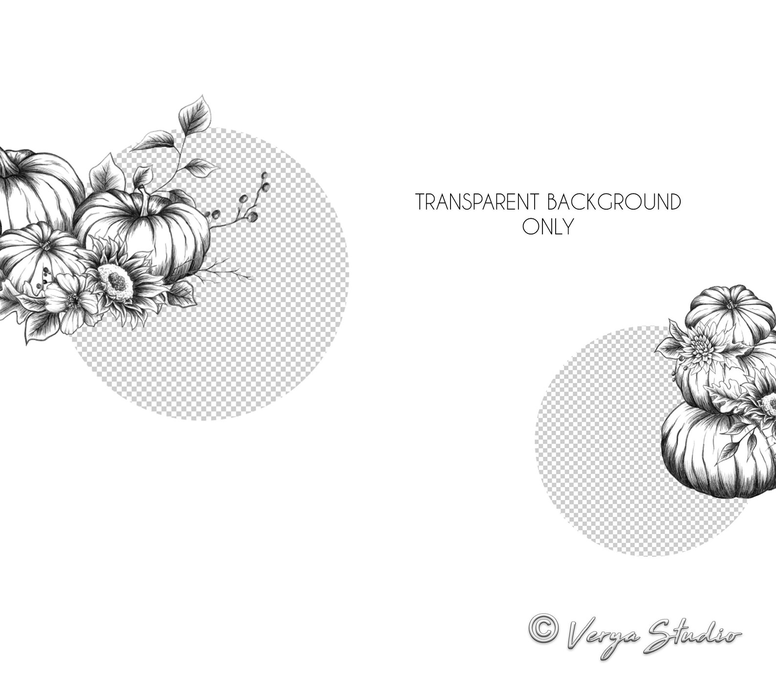 Fall Clip Art Autumn Clipart Pencil Line Art Drawing - Etsy