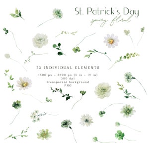 Spring Clipart St Patrick's Day Floral Clip Art Watercolor Shamrock ...