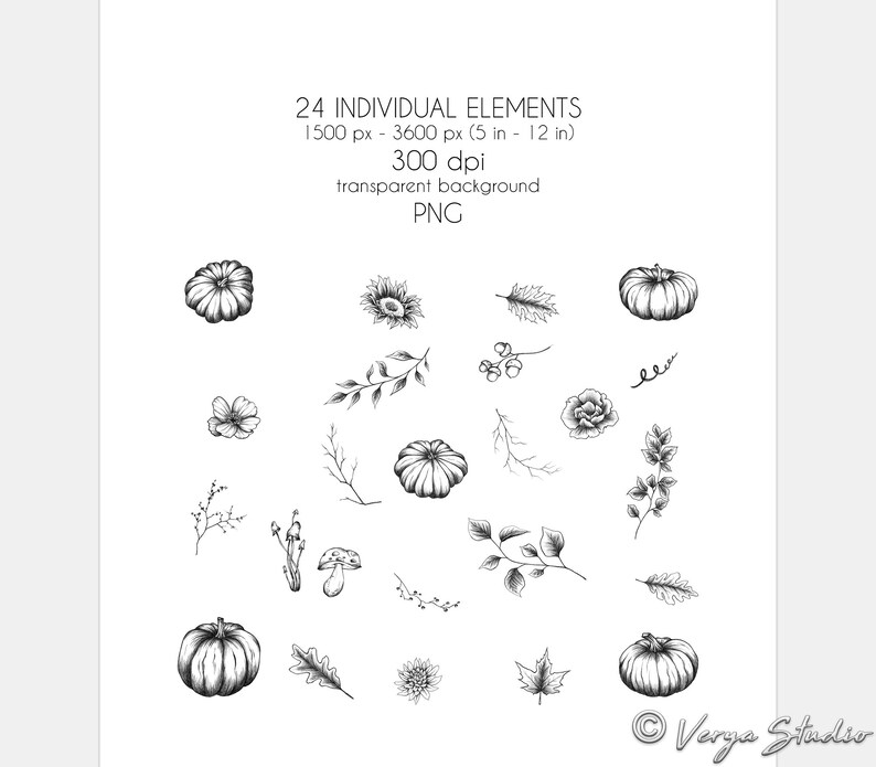 Fall Clipart Autumn Illustrations Clip Art Pumpkins Flowers - Etsy