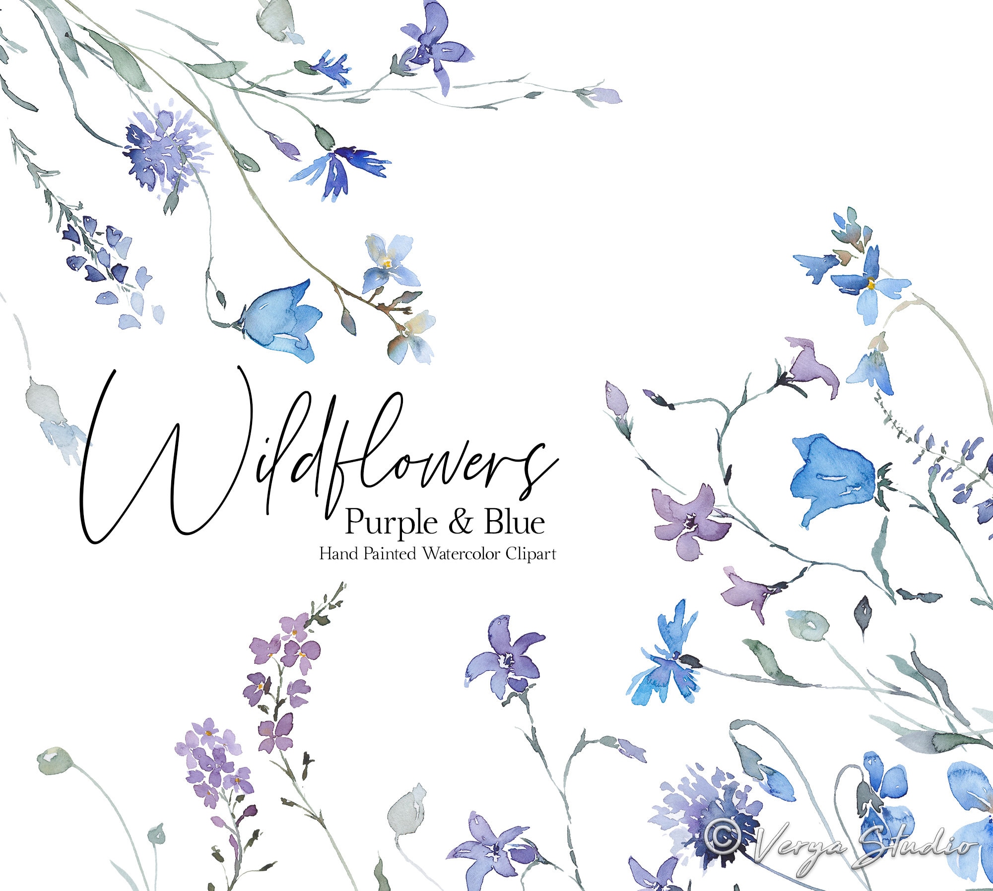 Wild Flowers Watercolor Floral Clipart Wildflowers Clip Art - Etsy