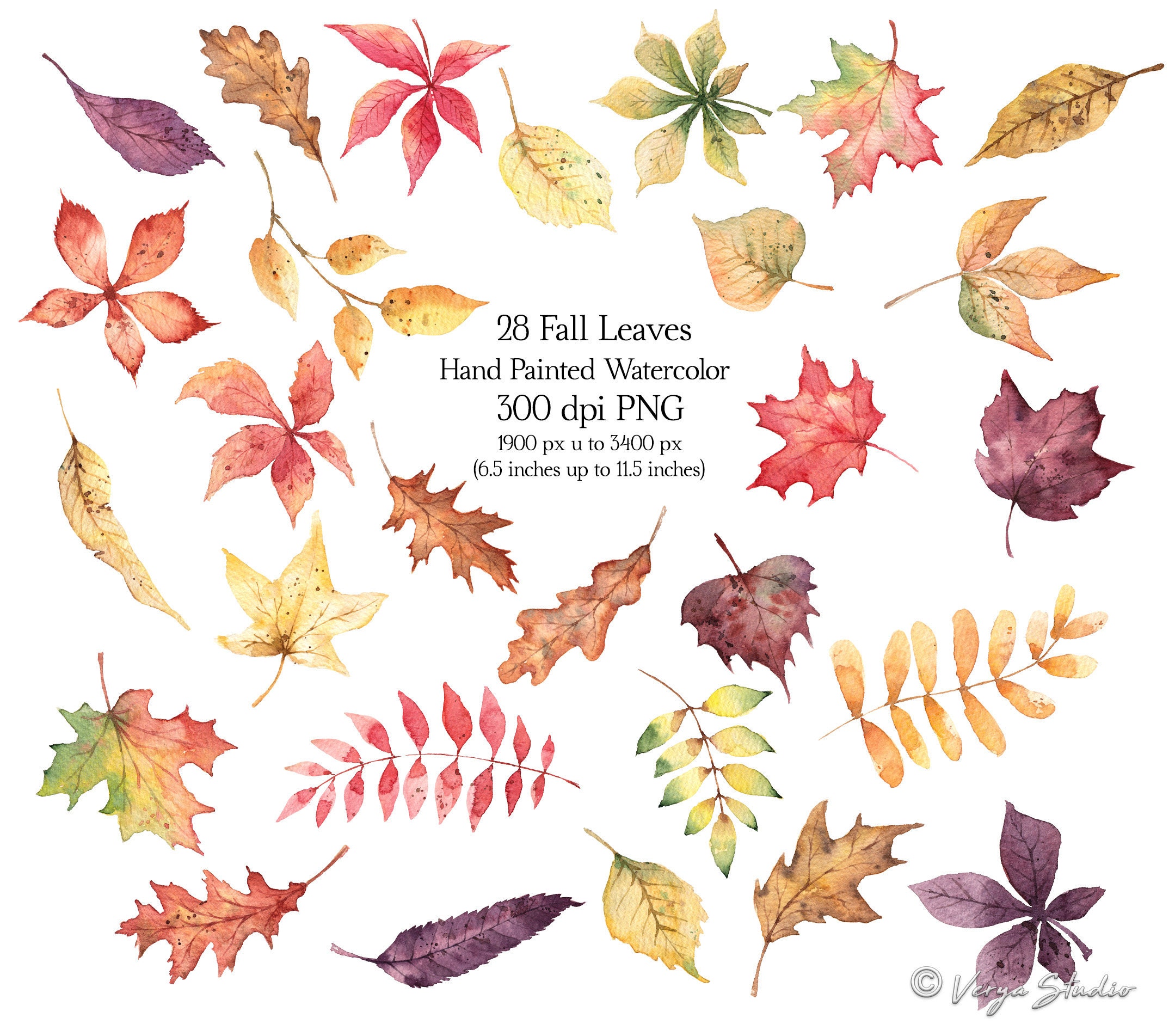 Seamless patterns Transparent leaves Winter leaves Instagram templates ...