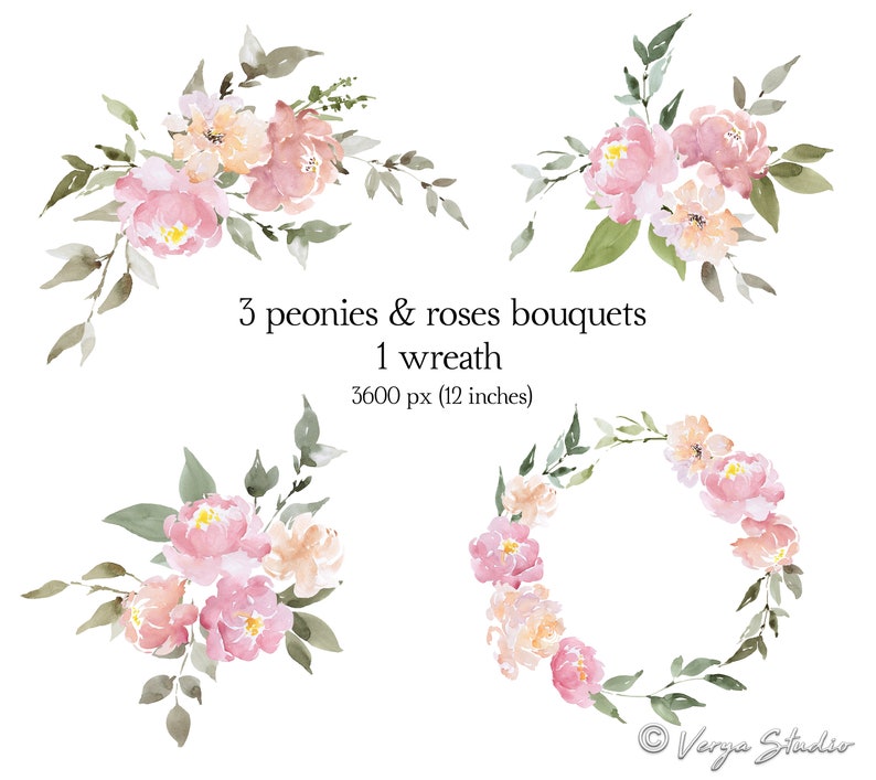 Watercolor Flowers Clipart Peach Blush Peonies Clip Art | Etsy